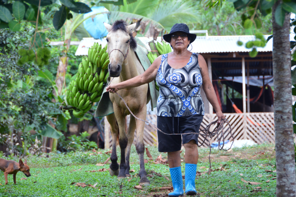 Adaptation Fund in Costa Rica - Adaptation Fund