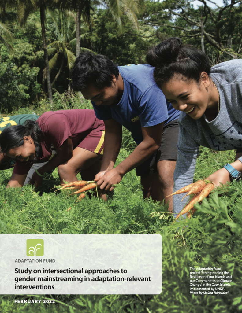 Study on intersectional approaches to gender mainstreaming in ...