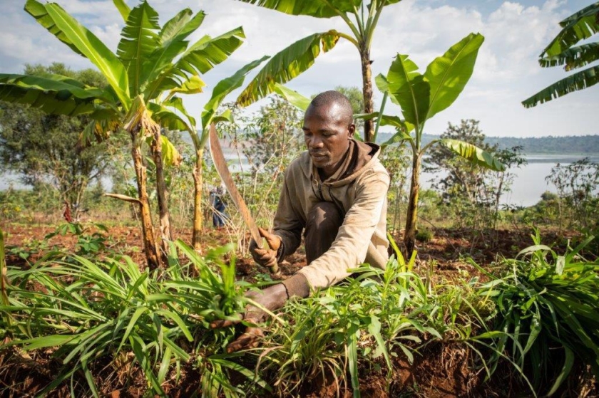 [UNEP]: Farmers adapt to climate crisis on Burundi’s precarious ...