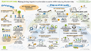 Event summary doodle - Adaptation Fund