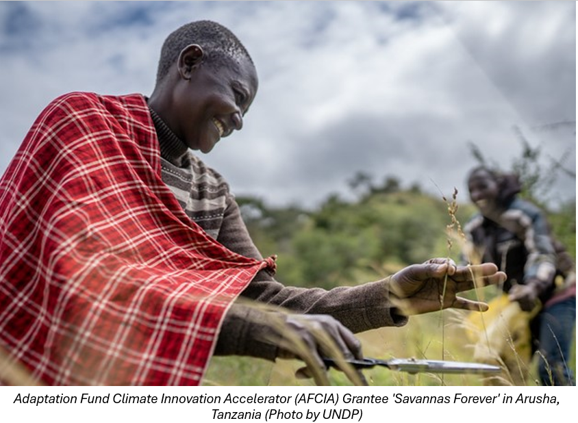 Screenshot 2024-10-01 104716 - Adaptation Fund