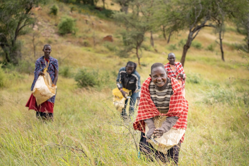 AF | Adaptation Fund