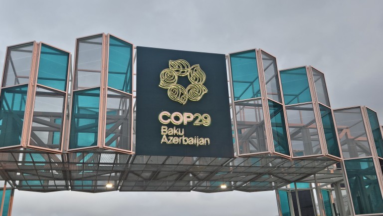 AF | Adaptation Fund