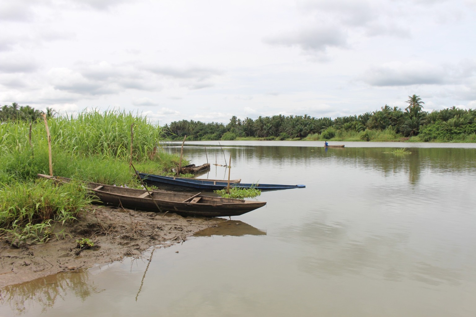 AF | Adaptation Fund